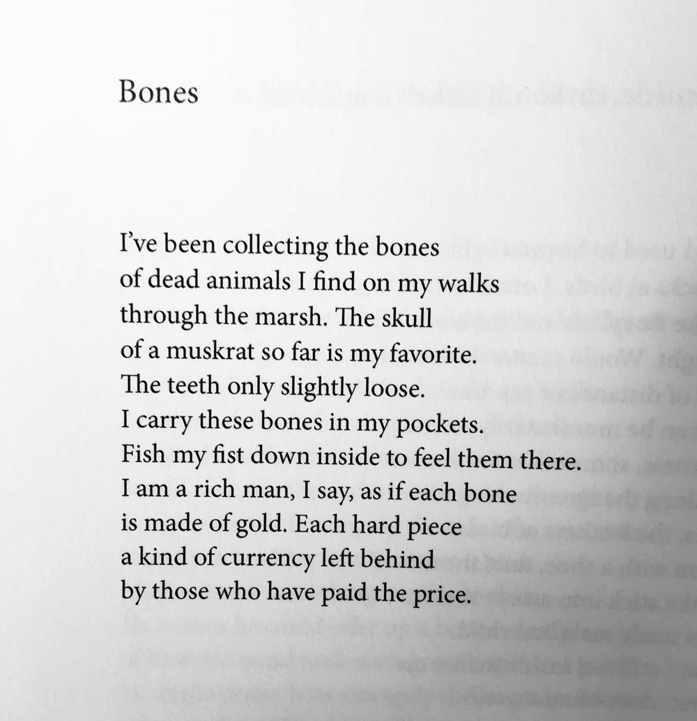 "I prefer the keyhole to the door" // An Interview with Author Peter ...