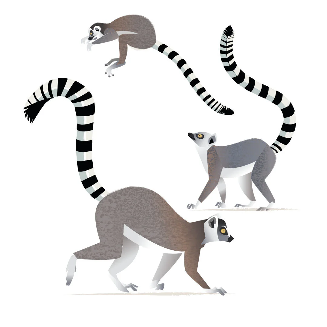 Rachel Hudson Illustration
