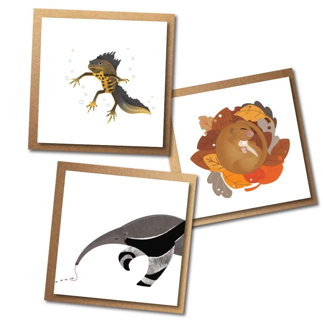 Rachel Hudson Illustration