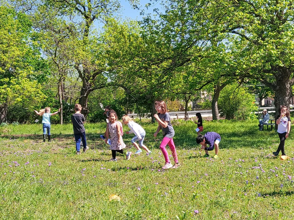 Benefits of outdoor exploration — Science Mill