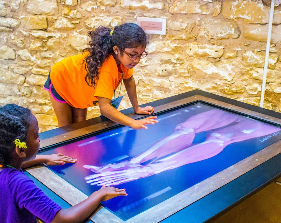 Virtual Body Table — Science Mill