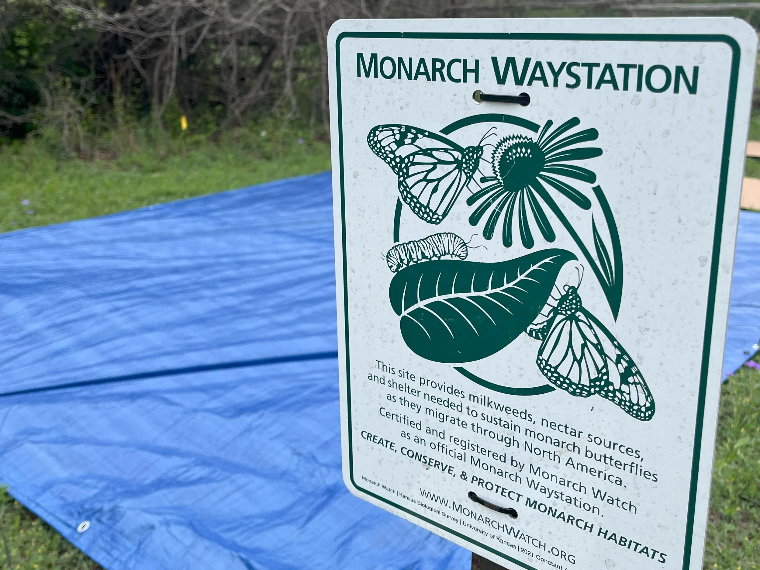 Science Mill Blog — Science Mill