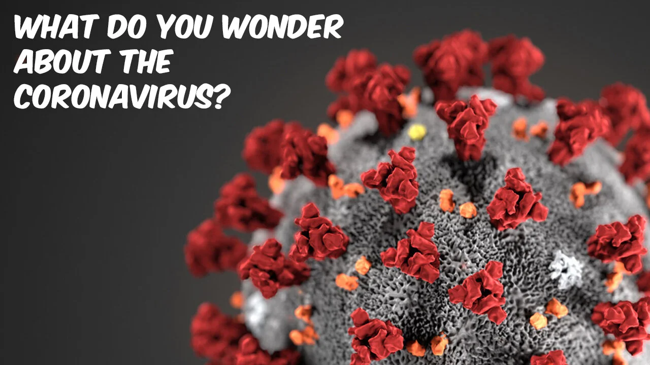 Explorer Zone — Science Mill