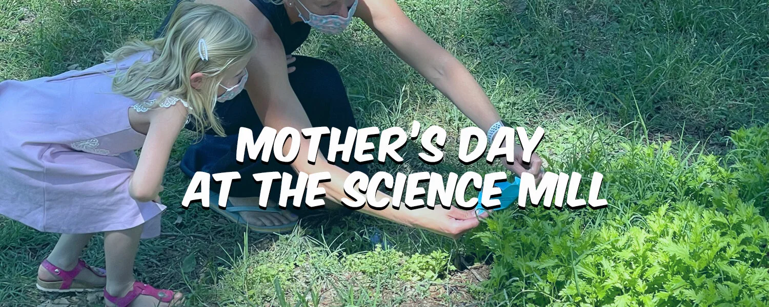 Mother's Day at the Science Mill — Science Mill