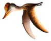 Is a pterosaur a dinosaur? — Science Mill