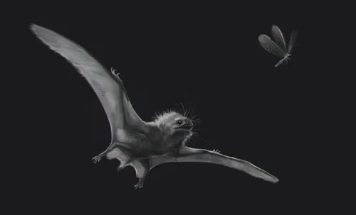 Is a pterosaur a dinosaur? — Science Mill
