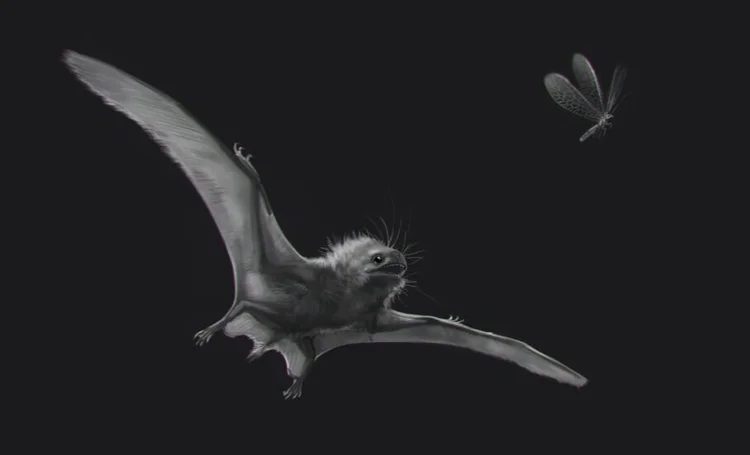 Is a pterosaur a dinosaur? — Science Mill