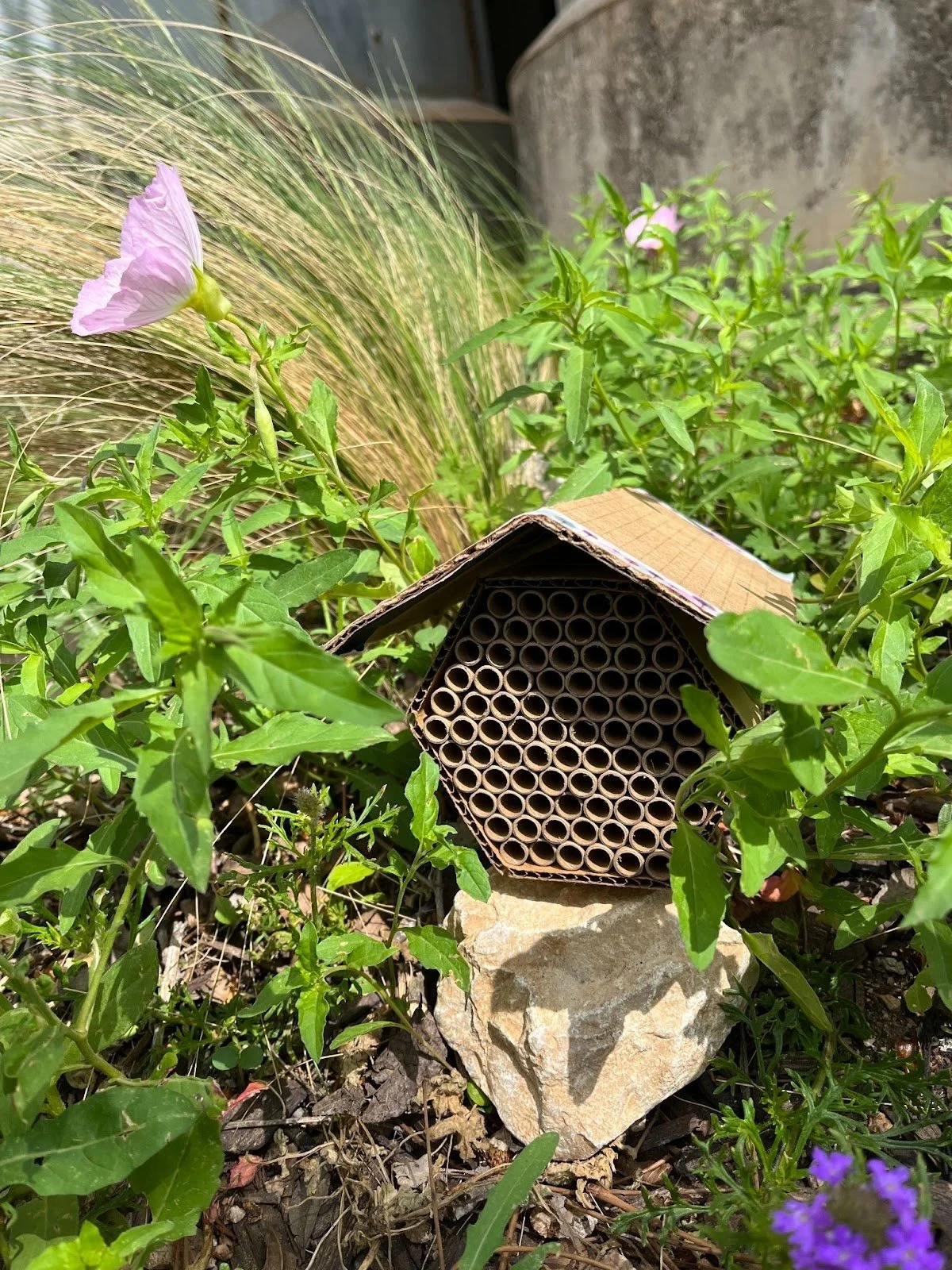 April Focus: The Science and Magic of Pollination — Science Mill