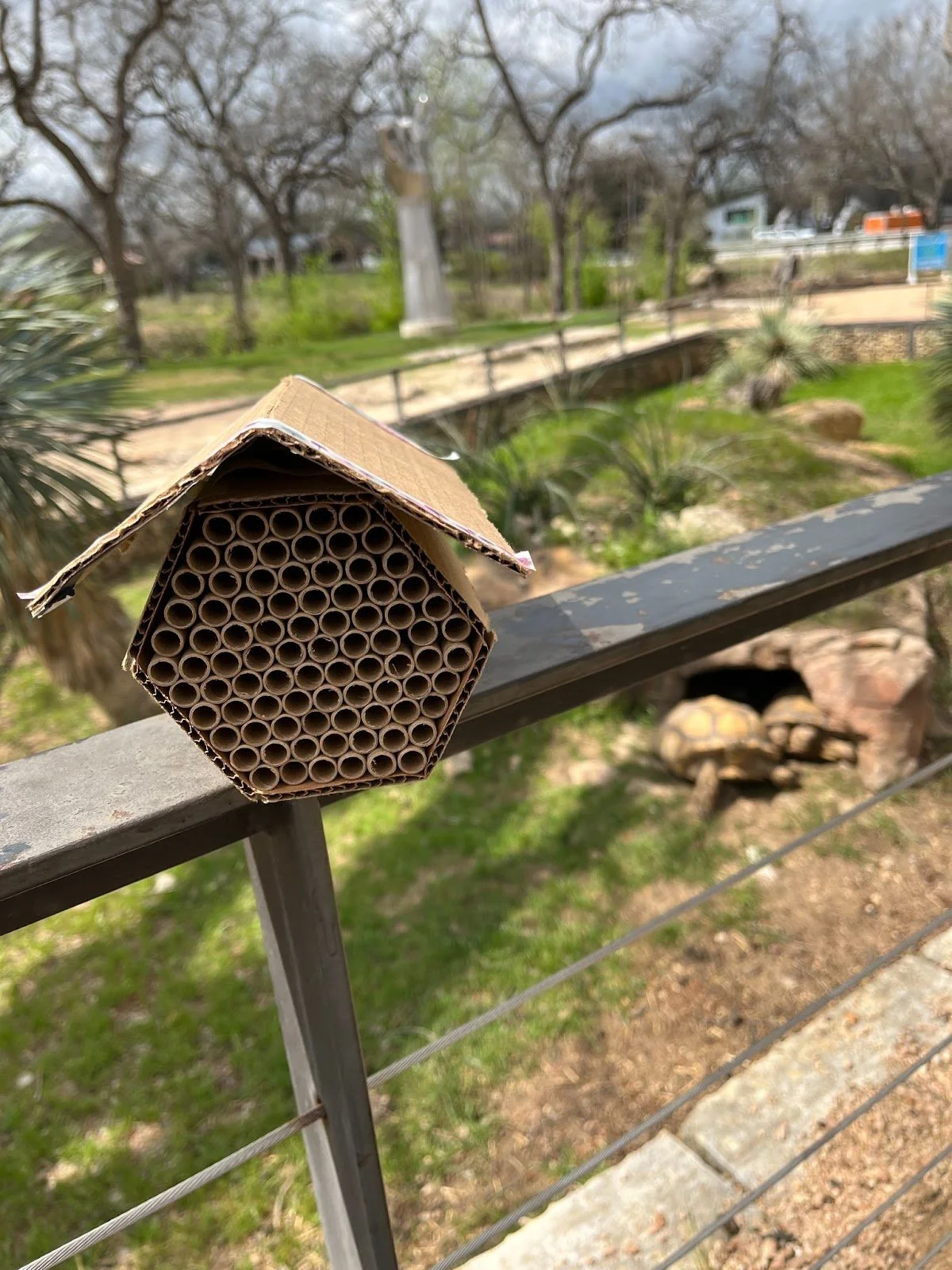 April Focus: The Science and Magic of Pollination — Science Mill