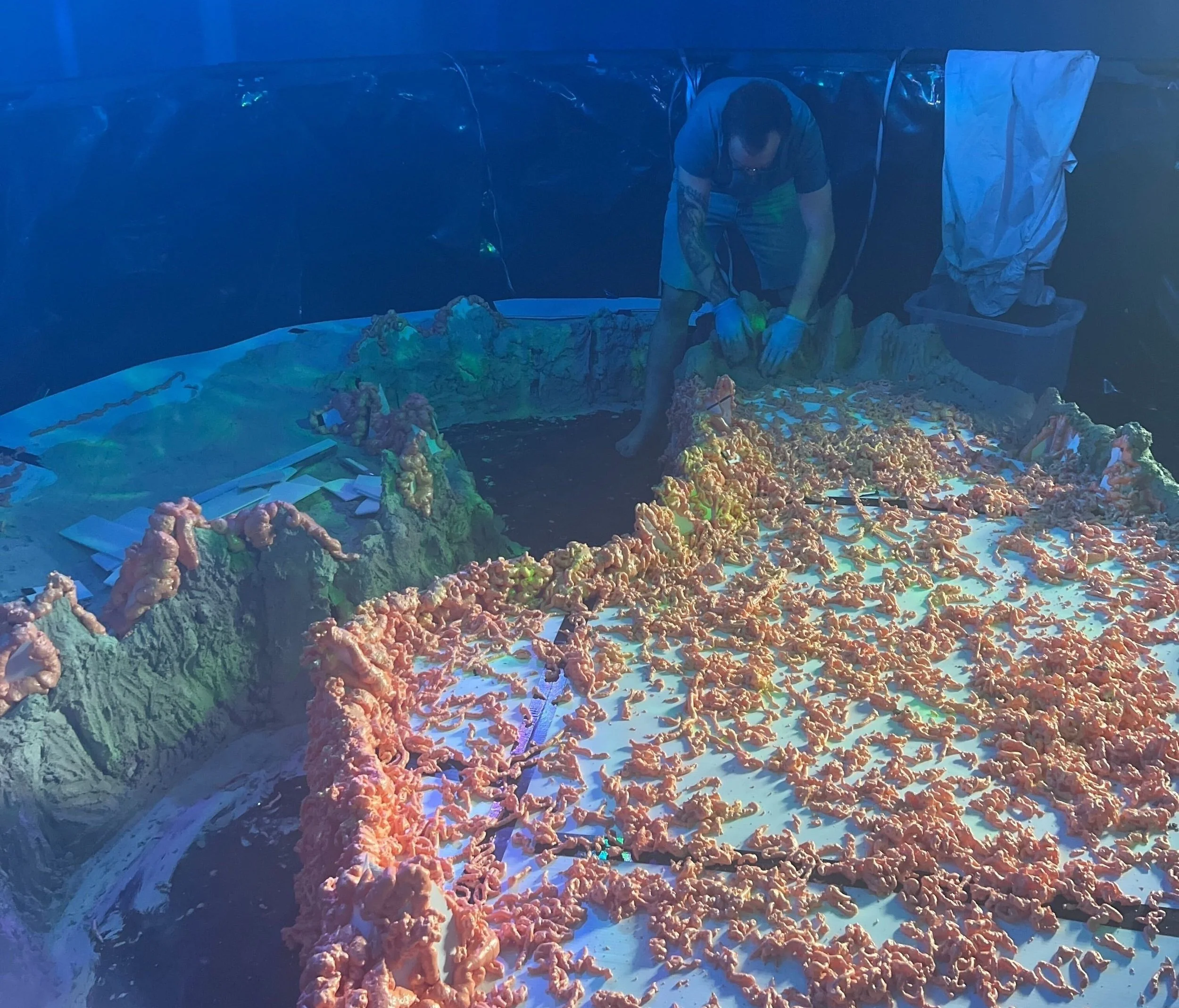 Deep Sea Robotics: Behind the scenes of our new exhibit! — Science Mill
