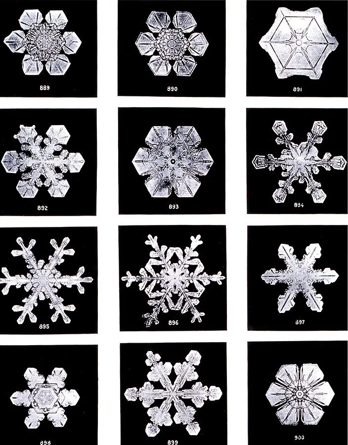 What is a snowflake? — Science Mill