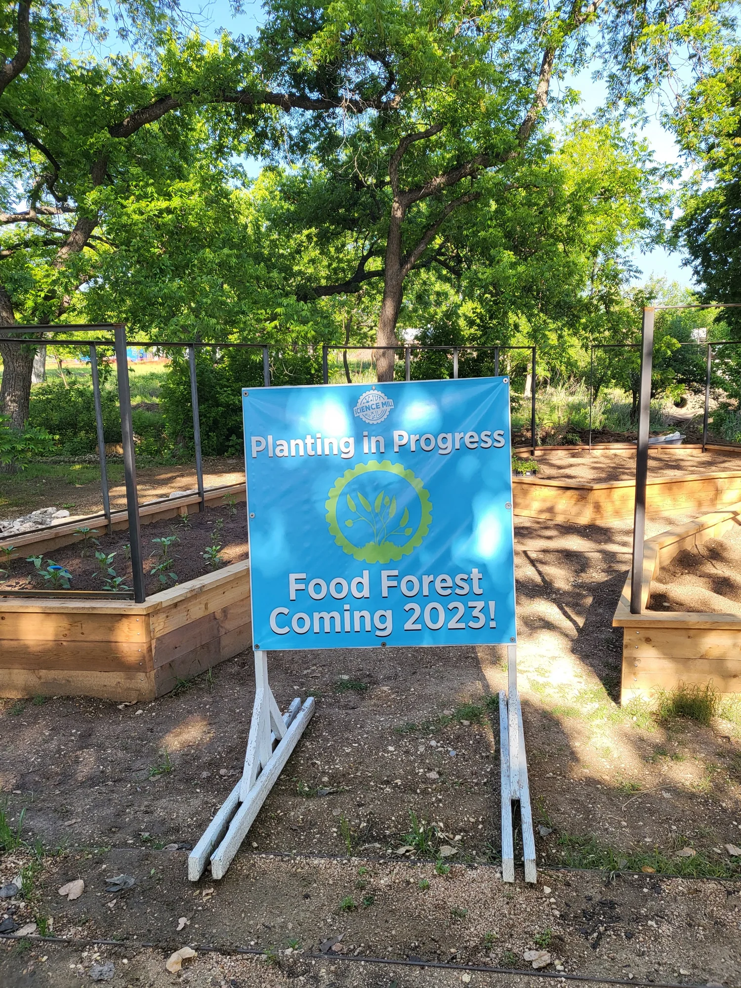 Why plant food forests? — Science Mill