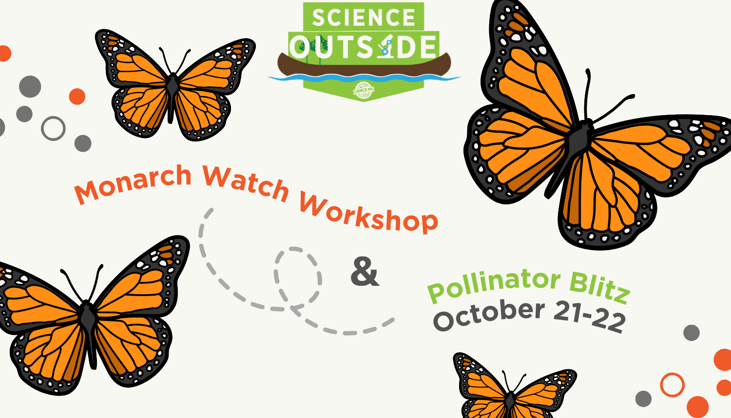 What is Monarch Watch Tagging? — Science Mill