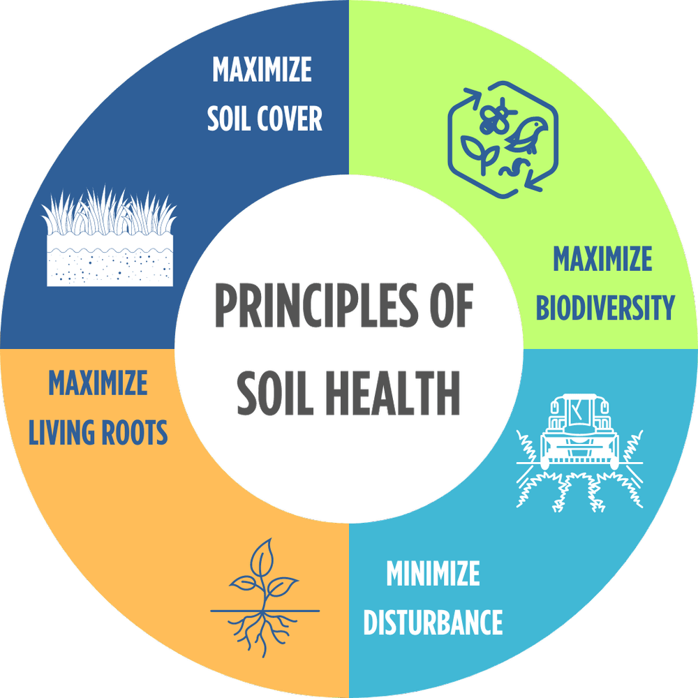 What is healthy soil? — Science Mill