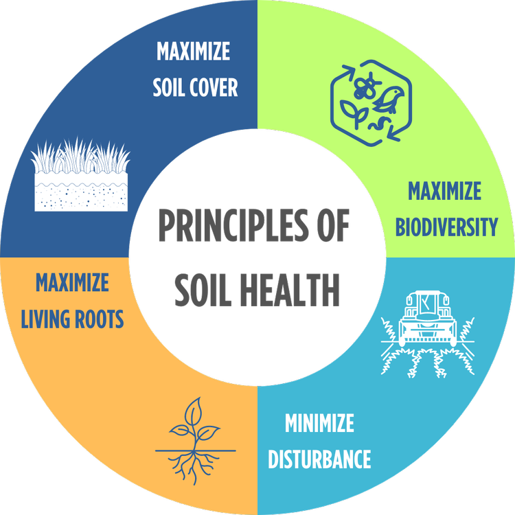 What is healthy soil? — Science Mill
