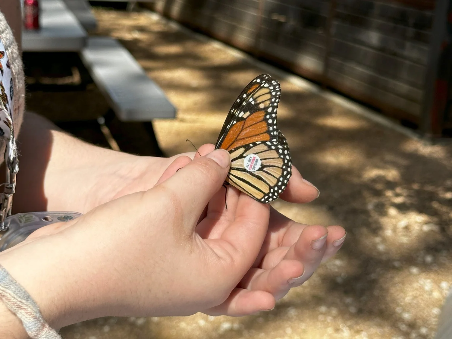 Science Mill Blog — Science Mill