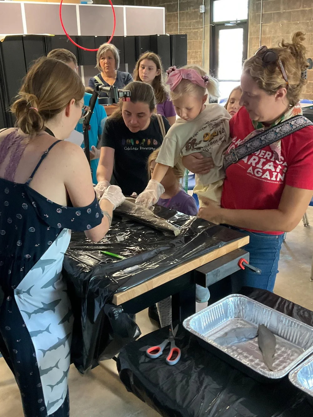 Science Mill Blog — Science Mill