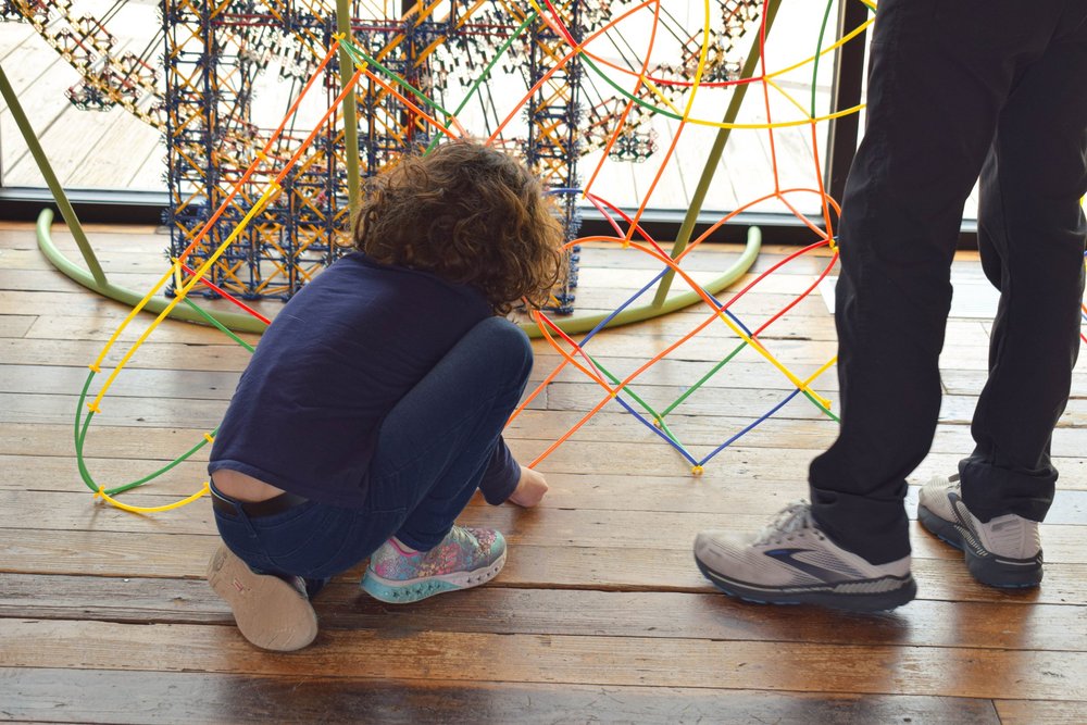 Why STEM Skills Matter: Building the Future One Discovery at a Time — Science Mill