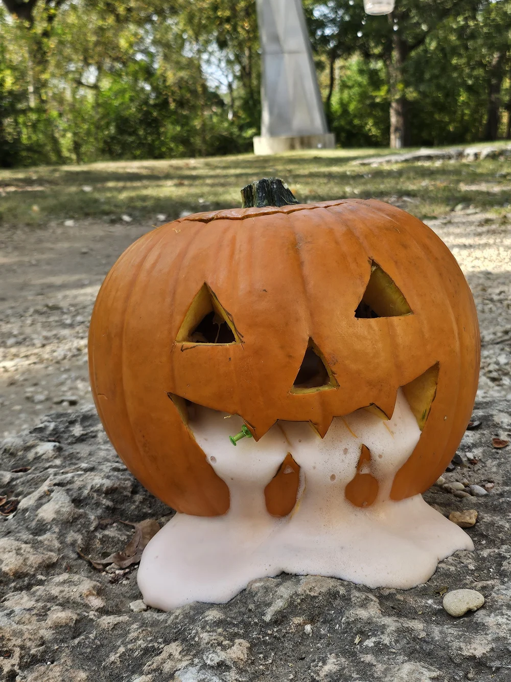 Pumpkin Toothpaste — Science Mill