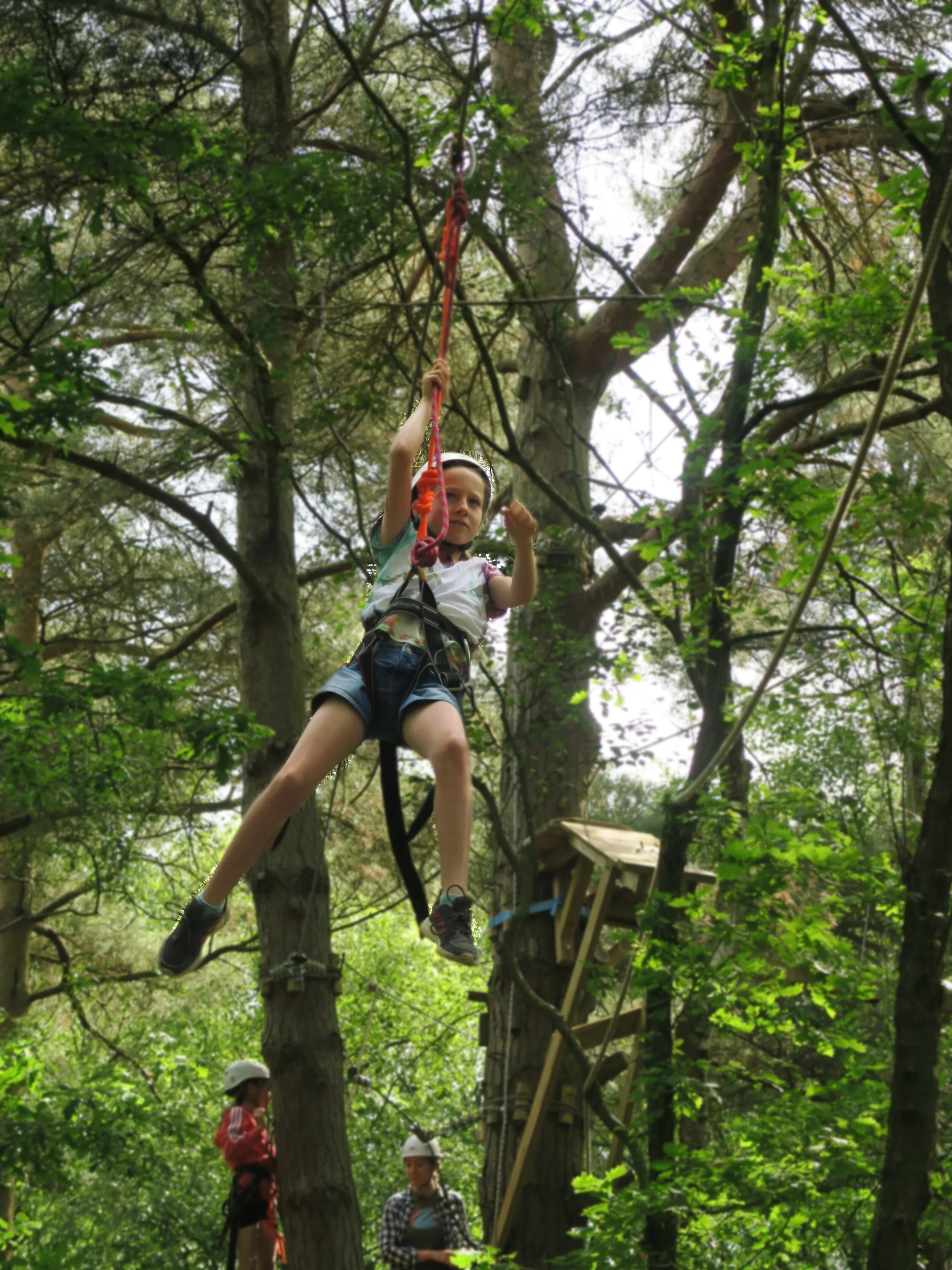 The Zip Line Only Course — Wild Pines | Ropes Course & Activity Centre