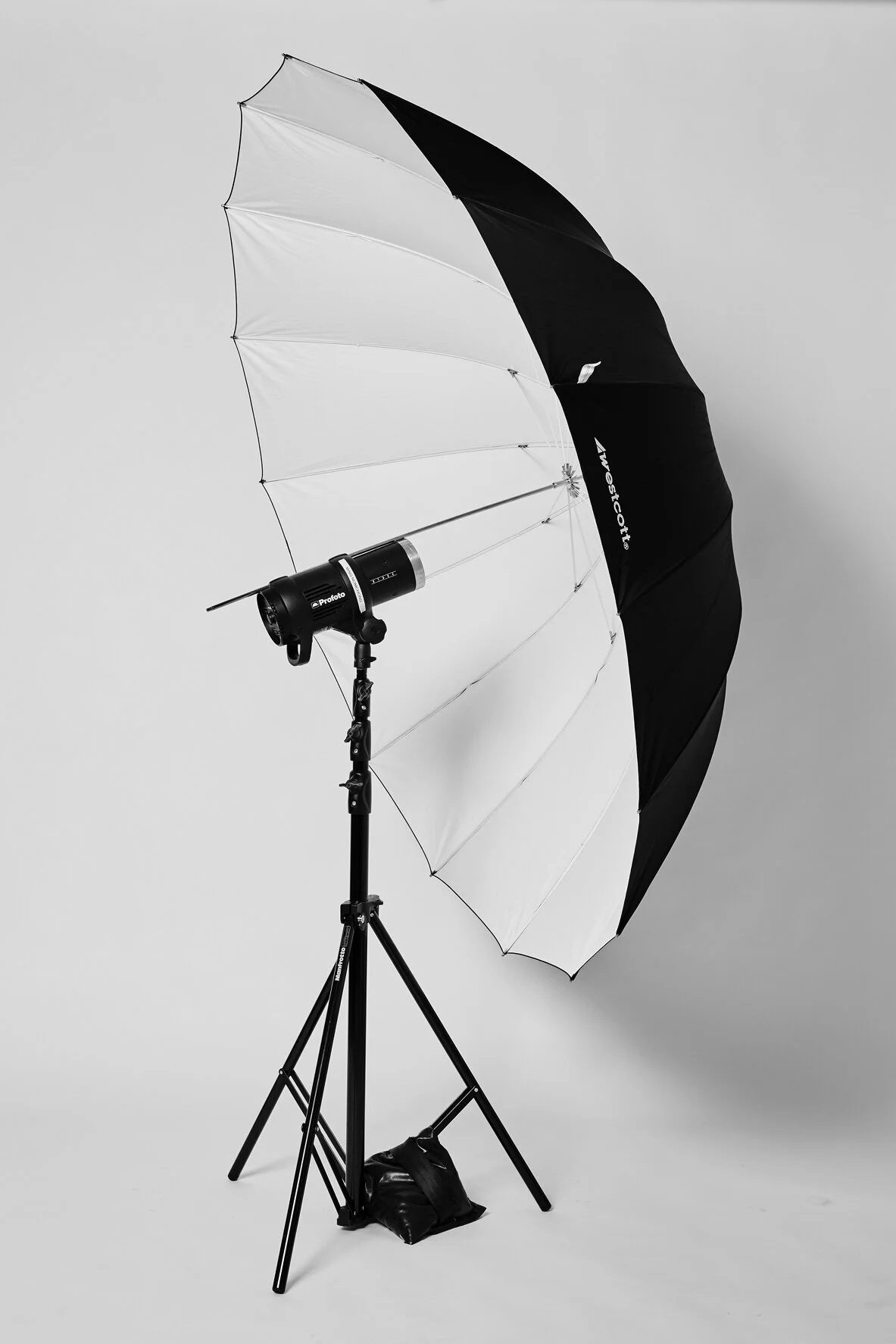 Studio Tropico | Photography Studio Byron Bay