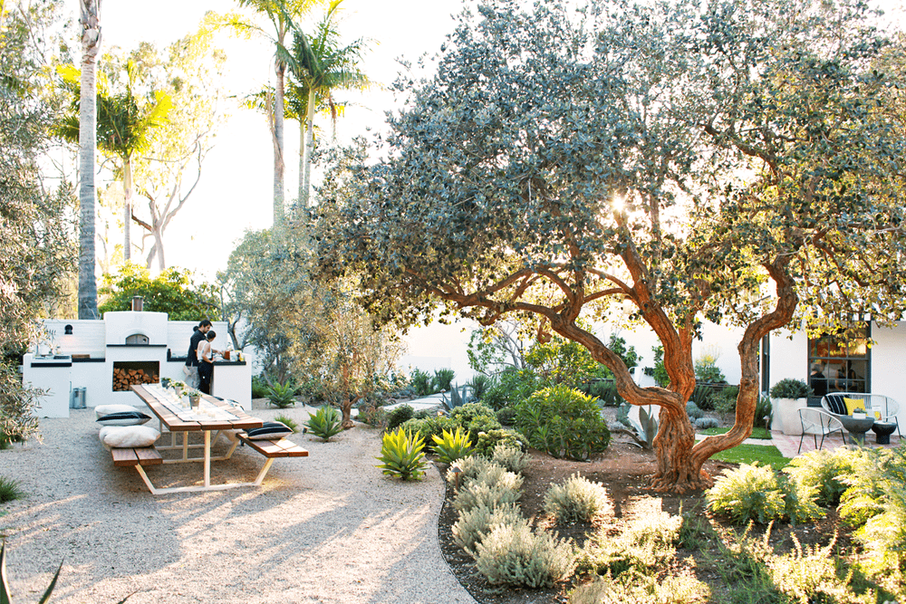 Pizza Kitchen and Guest House Garden — ISA BIRD