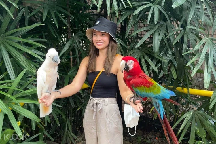 UPSIZE PH | For The Holidays, Explore The Philippines And Its ...