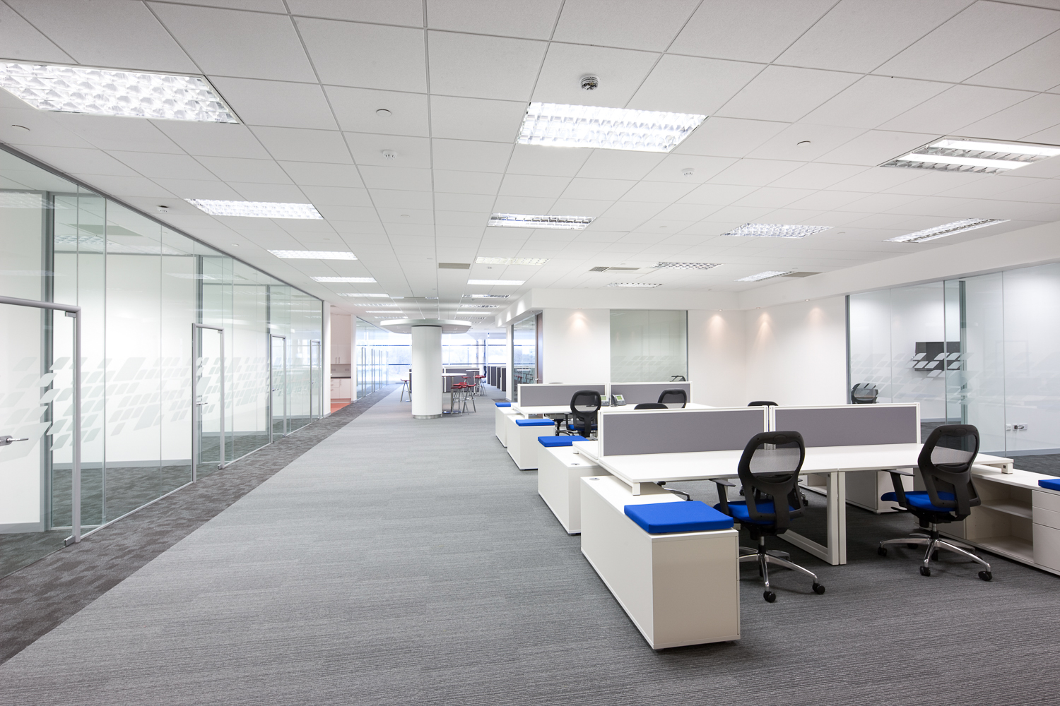 PLEXUS, BATHGATE — Amos Beech