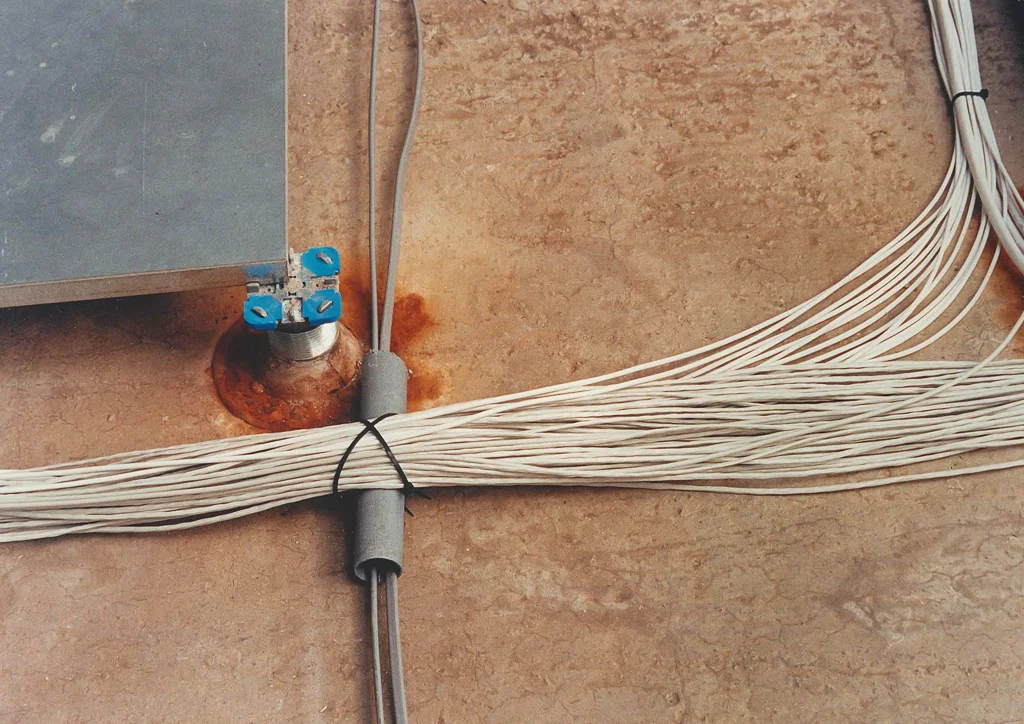 The History of Amos Beech — Amos Beech