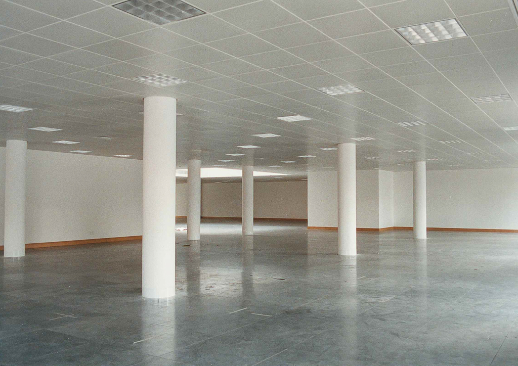 The History of Amos Beech — Amos Beech