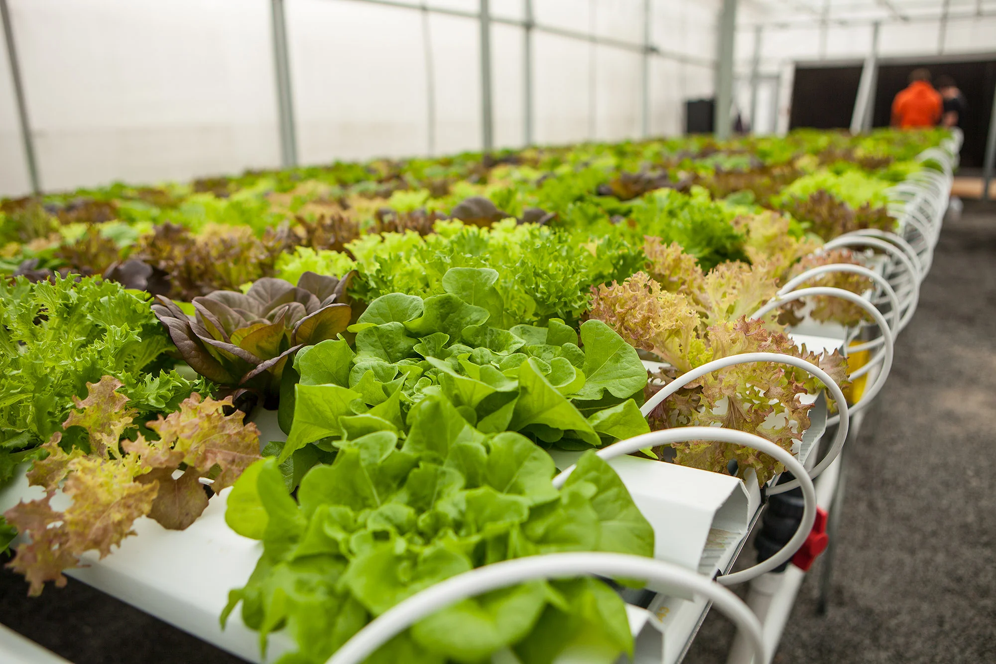 AgLanta Conference 2019 — AgLanta AgLanta - Urban Agriculture Atlanta