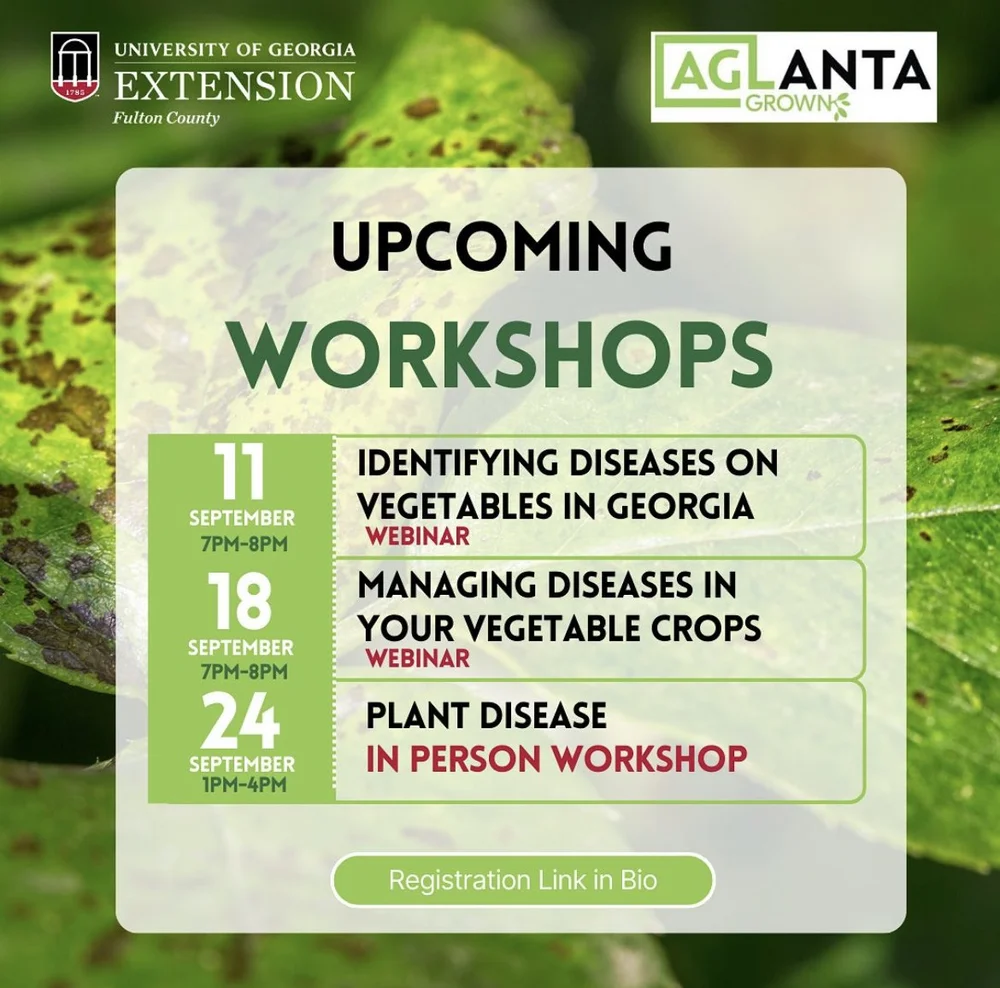 AgLanta Grown — AgLanta AgLanta - Urban Agriculture Atlanta