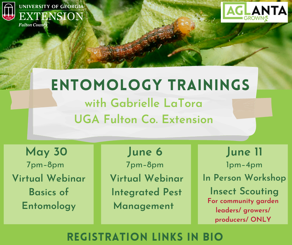 AgLanta Grown — AgLanta AgLanta - Urban Agriculture Atlanta