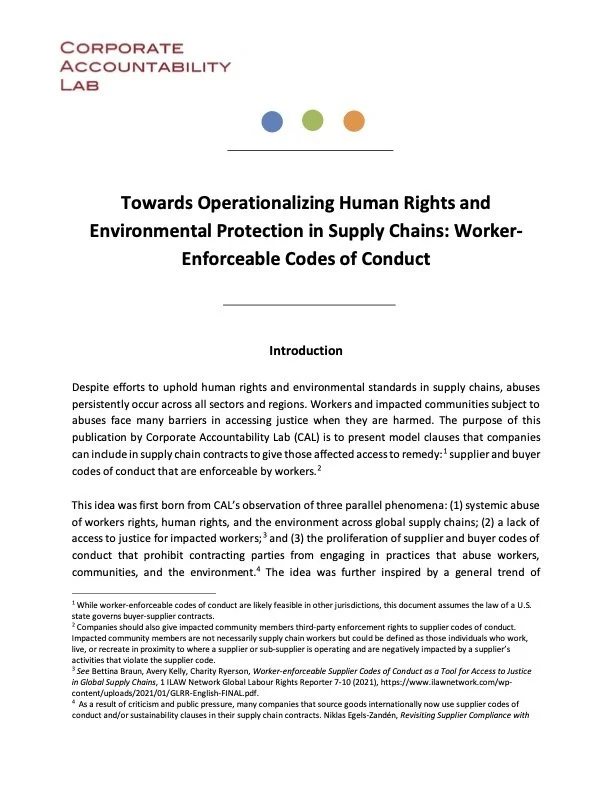 Towards Operationalizing Human Rights and Environmental Protection in ...