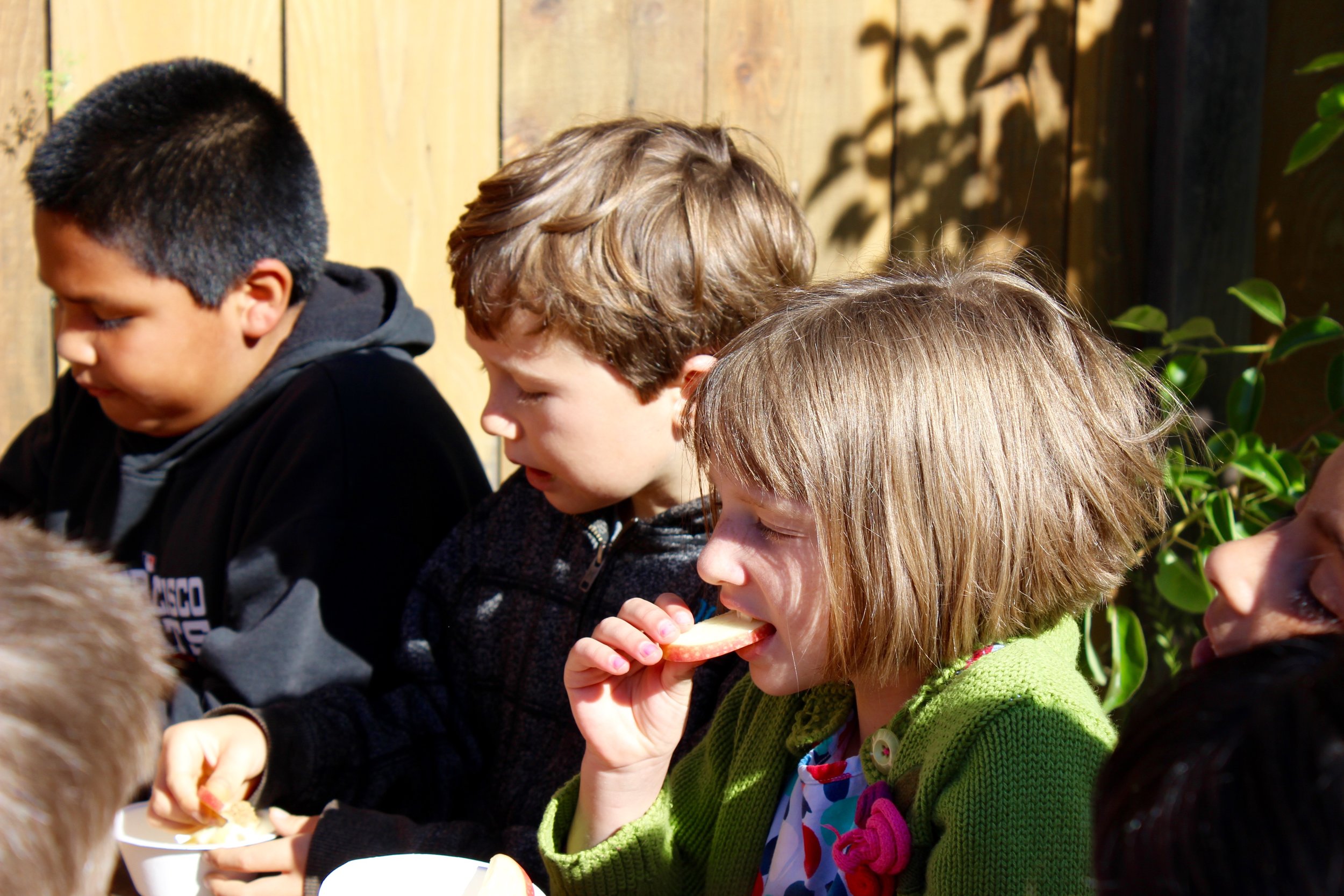 What We Do — The HEAL Project