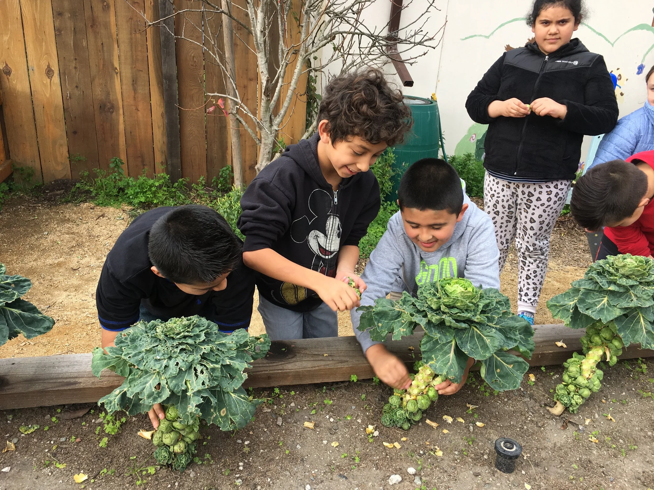 What We Do — The HEAL Project