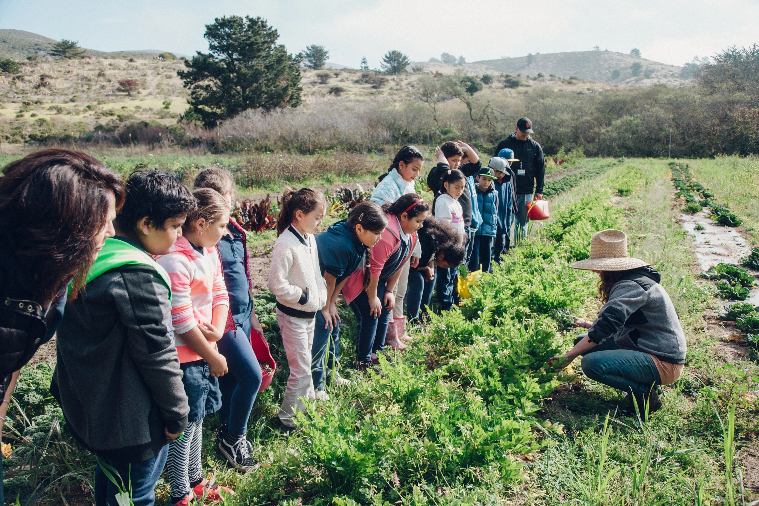 Field Trips — The HEAL Project