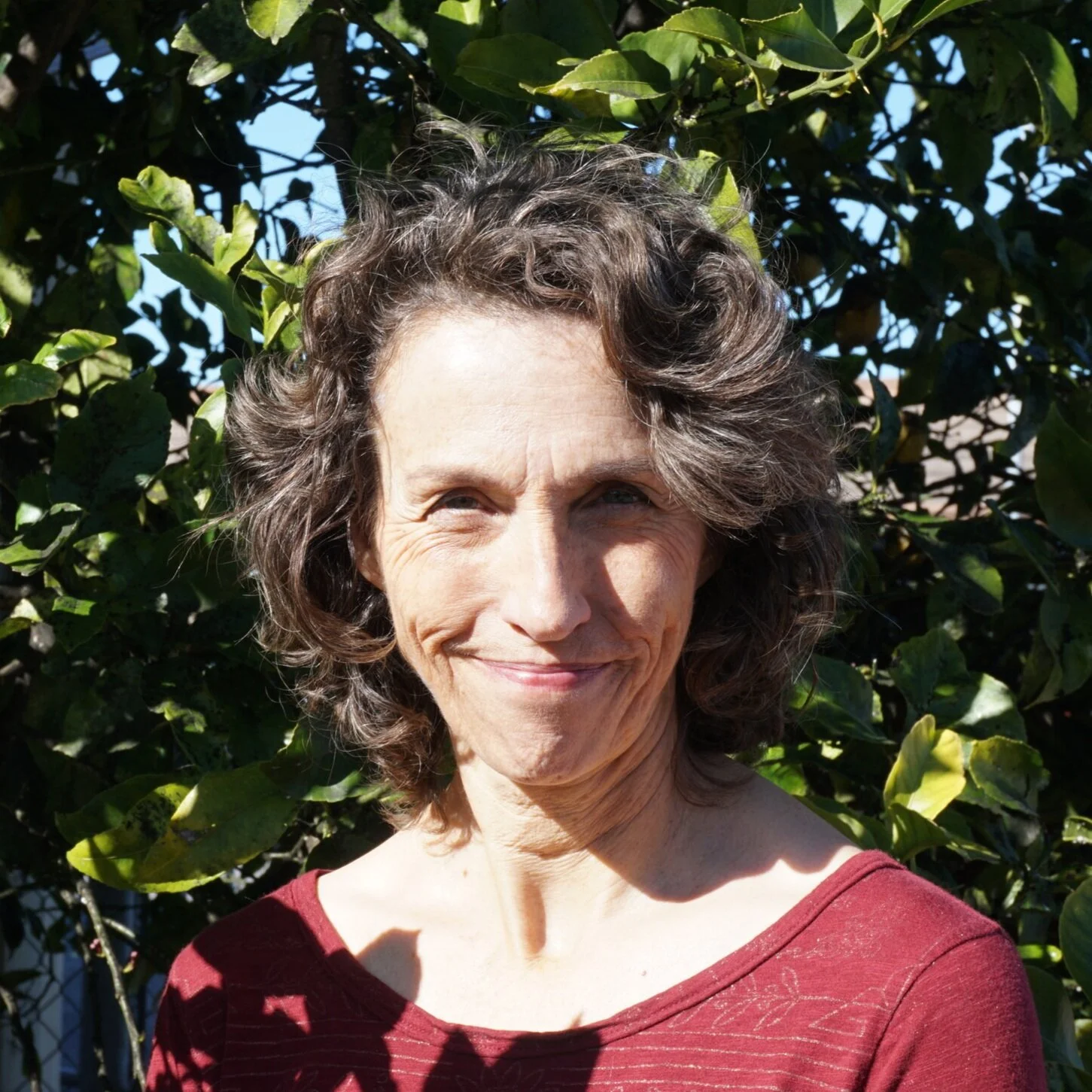 Our Team — The HEAL Project