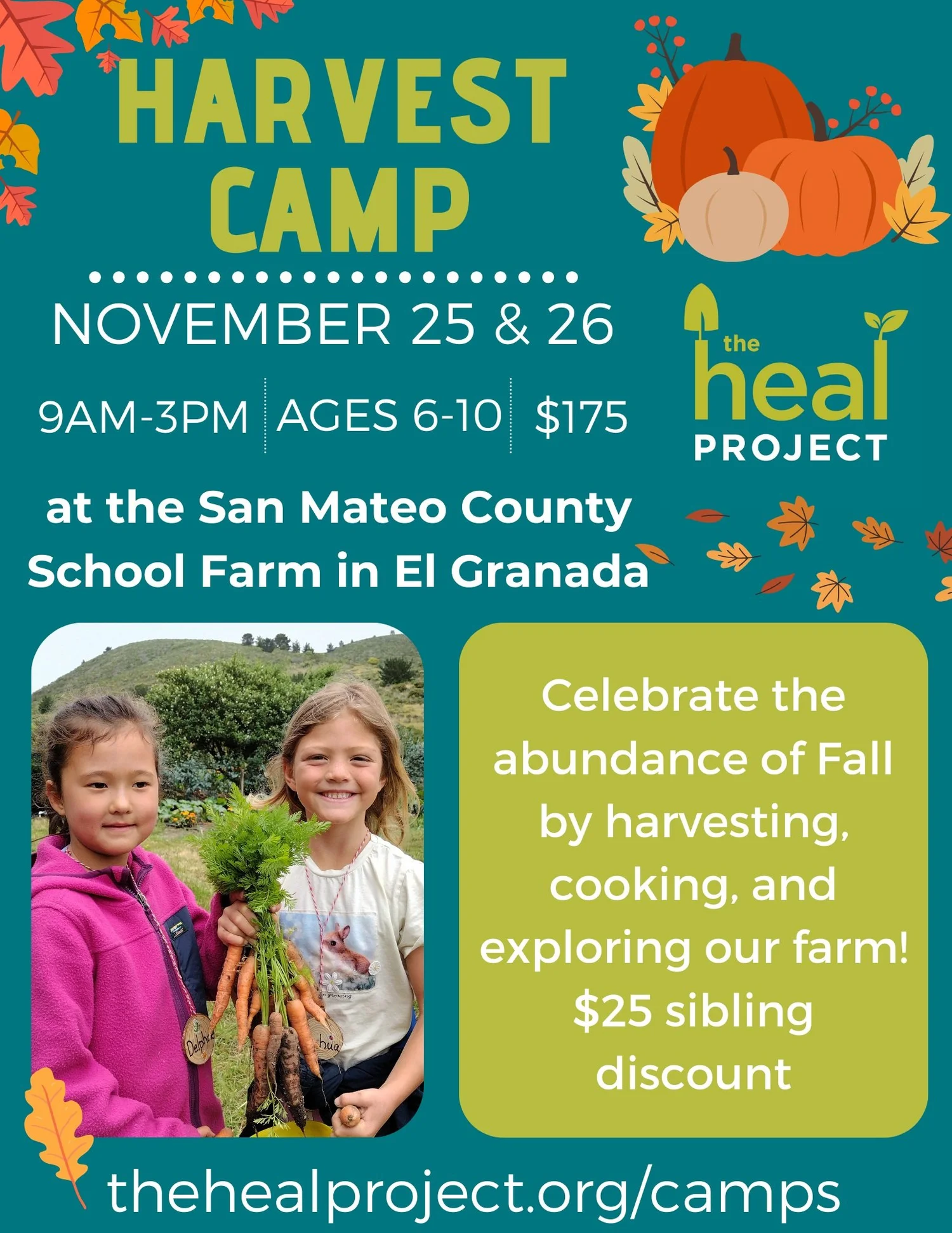 Camps — The HEAL Project