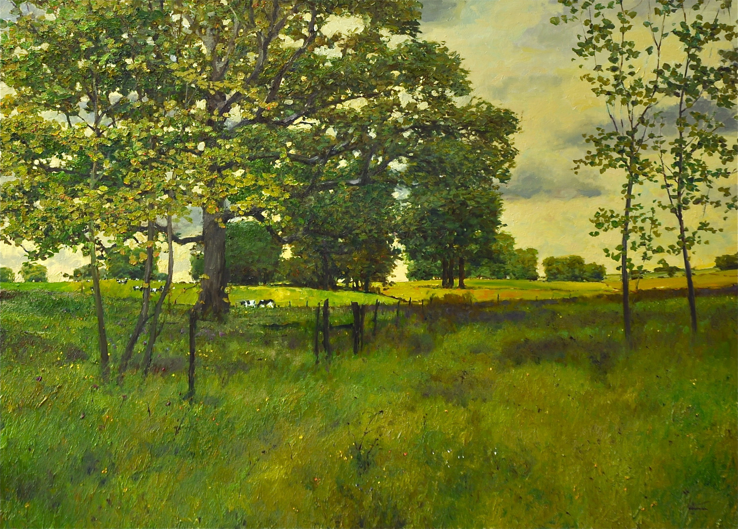 Trees Want to Be Taller & Greener — David Hettinger