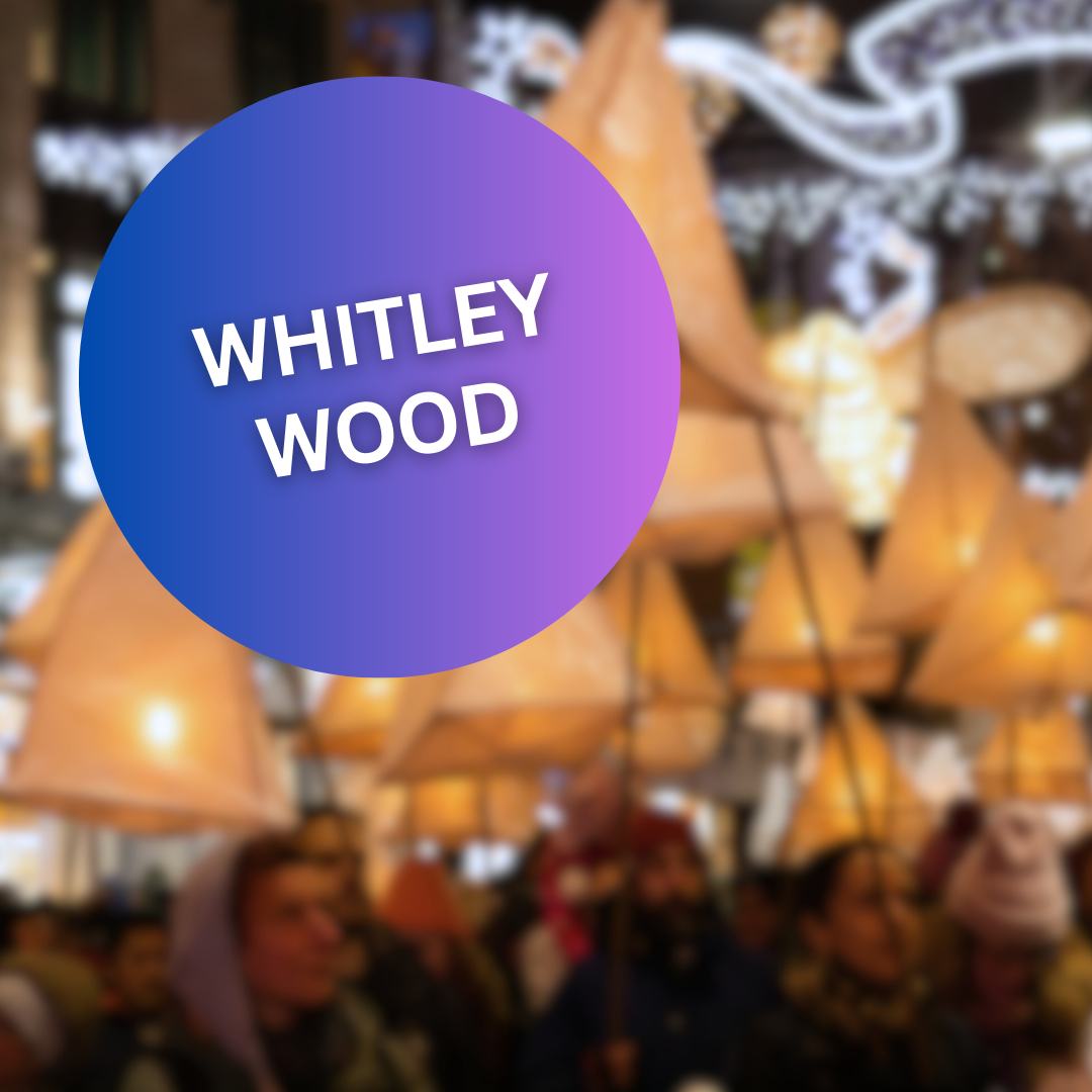 Reading Lantern Parade — Beautiful Creatures Theatre