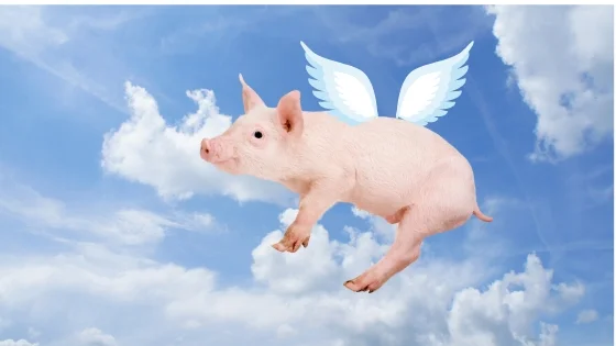 The Year of the Flying Pig — Thrive Therapy