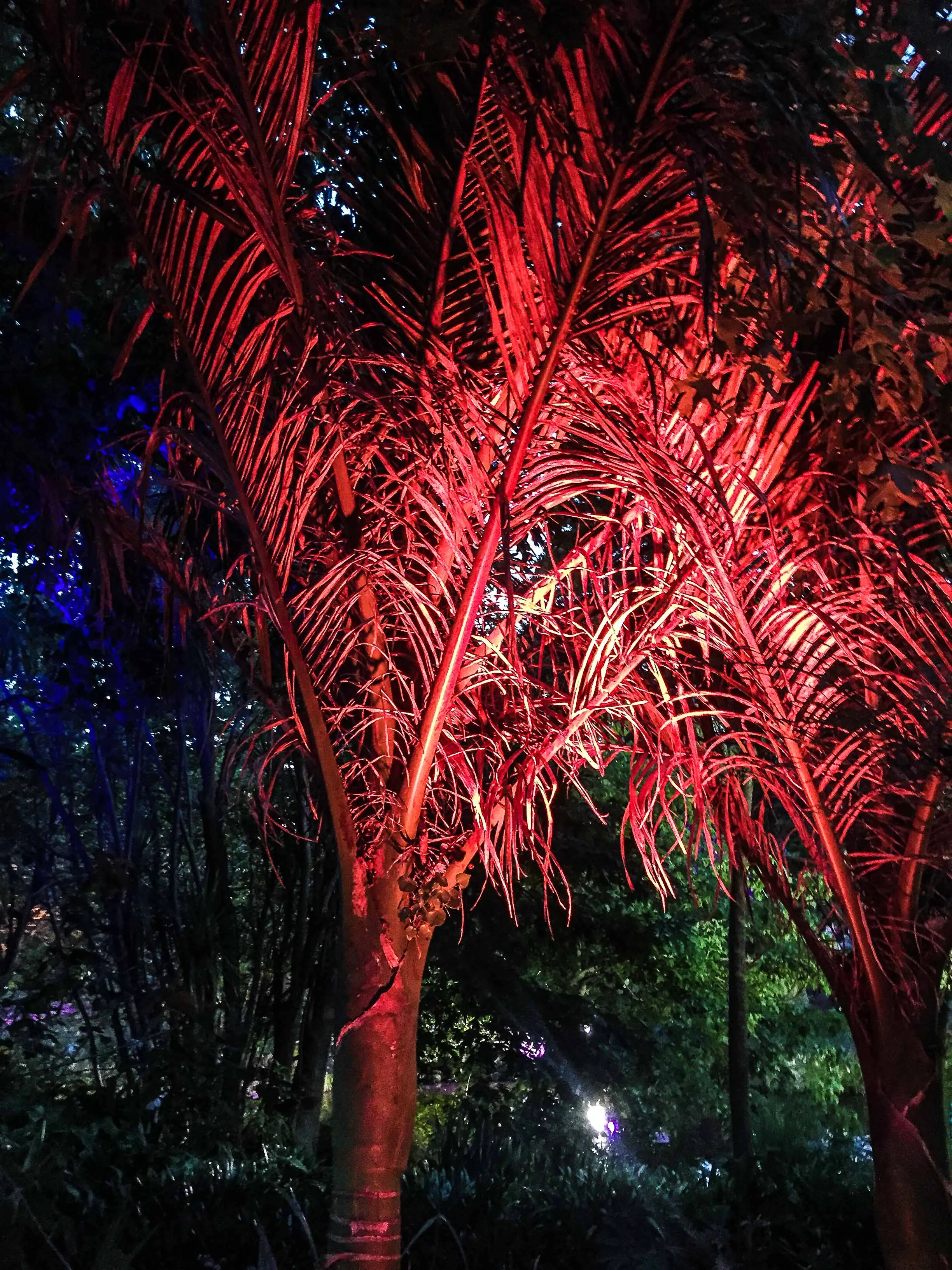 How is an on-trend print is created? — The Fashion Business Coach