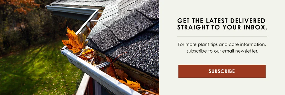 Dammann's Garden Company – YOUR COMPLETE FALL YARD CLEANUP CHECKLIST