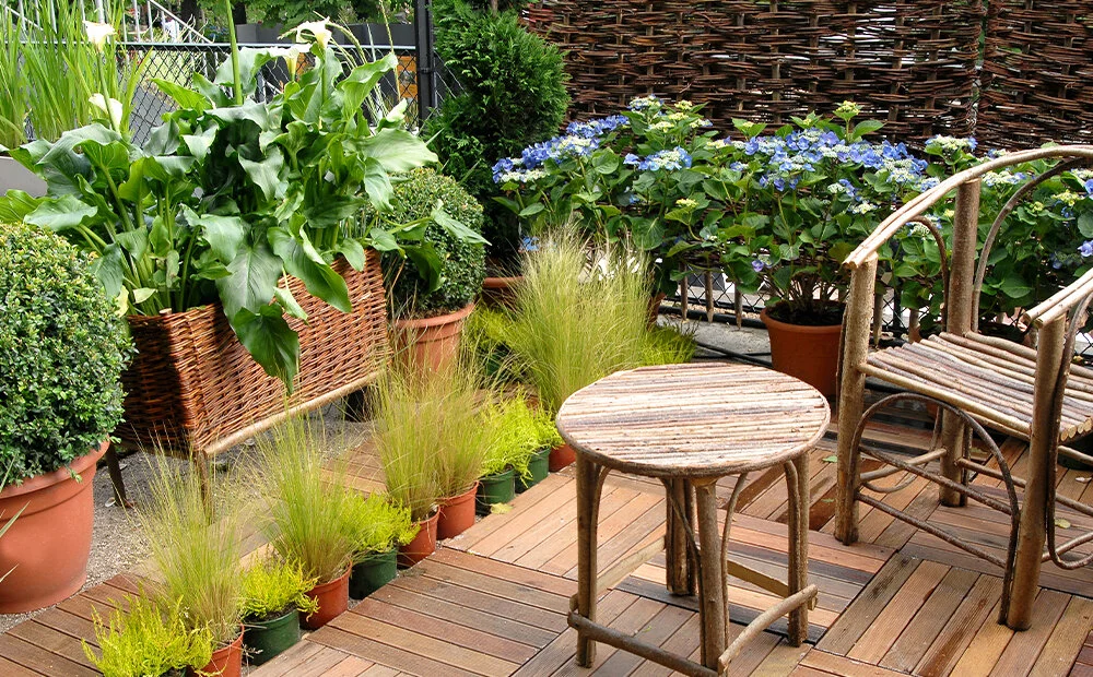 Dammann's Garden Company – SHOWSTOPPING PERENNIAL COMBINATIONS FOR YOUR ...