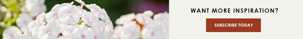 Dammann's Garden Company – SHOWSTOPPING PERENNIAL COMBINATIONS FOR YOUR ...