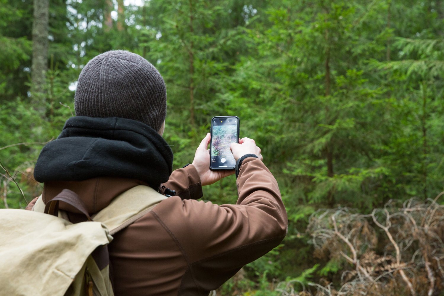 Dammann's Garden Company – HOW TO PHOTOGRAPH BIRDS WITH YOUR SMARTPHONE ...