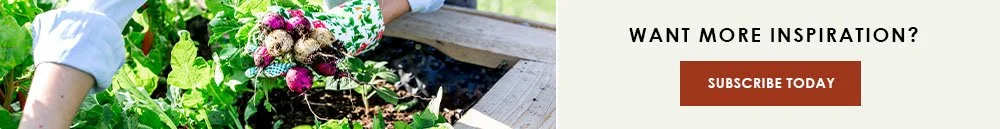 Dammann's Garden Company – When to Harvest Your Crops for the Best Quality