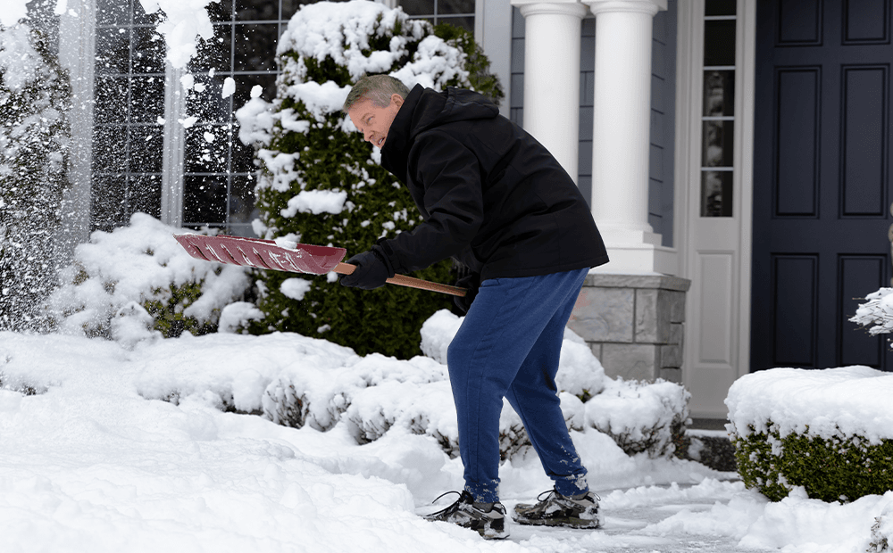 Dammann's Garden Company – How to Avoid Salt Damage in Winter
