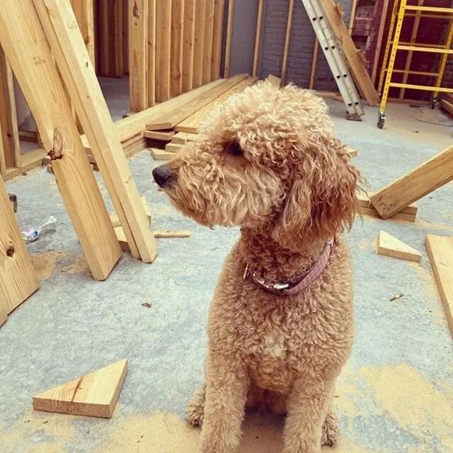 Eshelman Construction